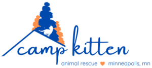 Camp Kitten – World's best bunkmates.